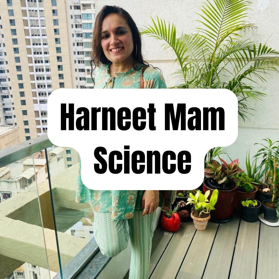 Classes – Buzzy Town